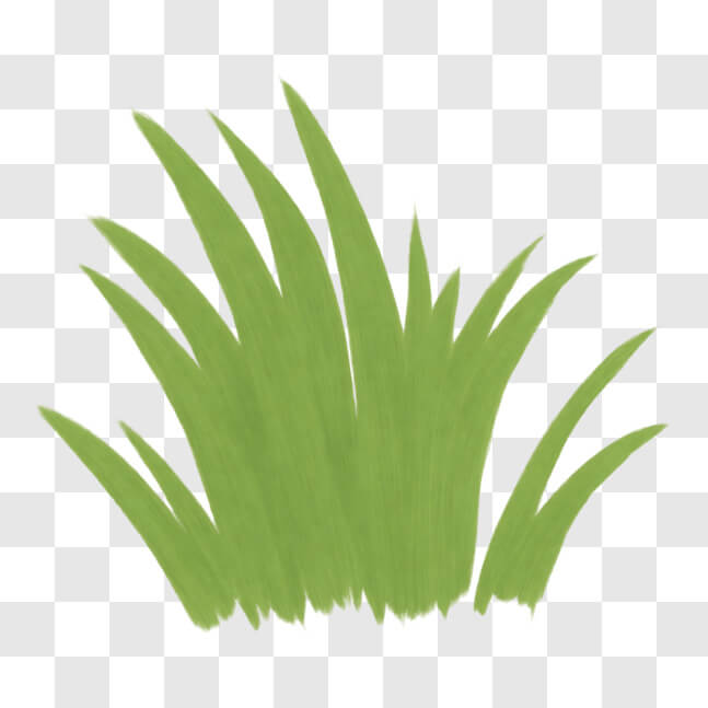Download Green Grass Clip Art for Illustration and Education PNGs ...