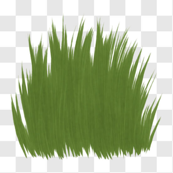Grass Texture PNG - Download Free & Premium Transparent Grass Texture ...