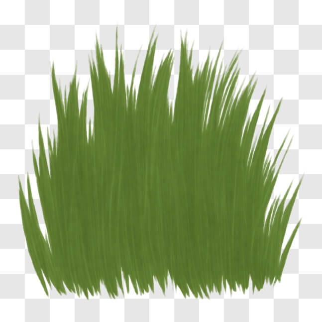 Download Long Green Grass Clip Art PNGs Online - Creative Fabrica