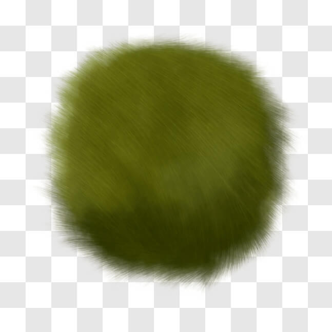 Download Green Furry Ball Ornament or Decoration on Black Background ...