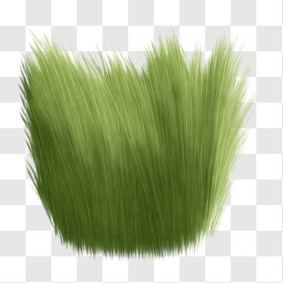 Grass Texture PNG - Download Free & Premium Transparent Grass Texture ...