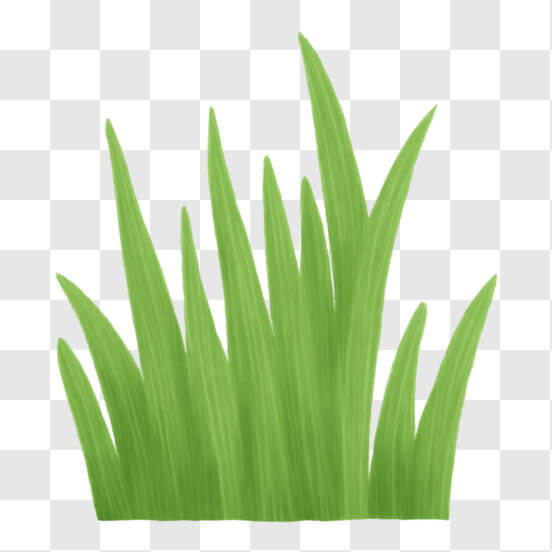 Grass Texture PNG - Download Free & Premium Transparent Grass Texture ...