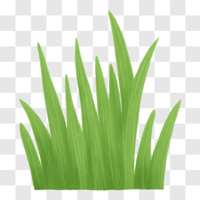 Download Green Grass on Black Background PNGs Online - Creative Fabrica