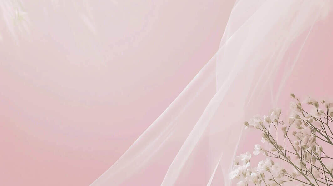 Download Elegant White Flower Bouquet with Veil on Pink Background ...