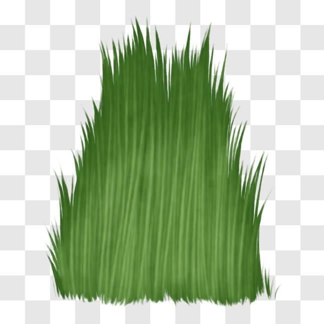 Download Green Grass Clip Art Pngs Online Creative Fabrica