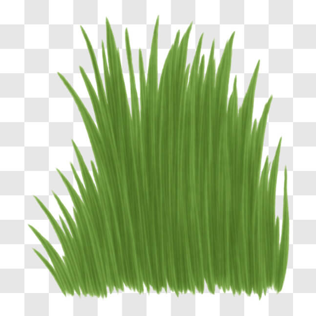 Download Green Grass Clip Art for Plants and Gardens PNGs Online ...