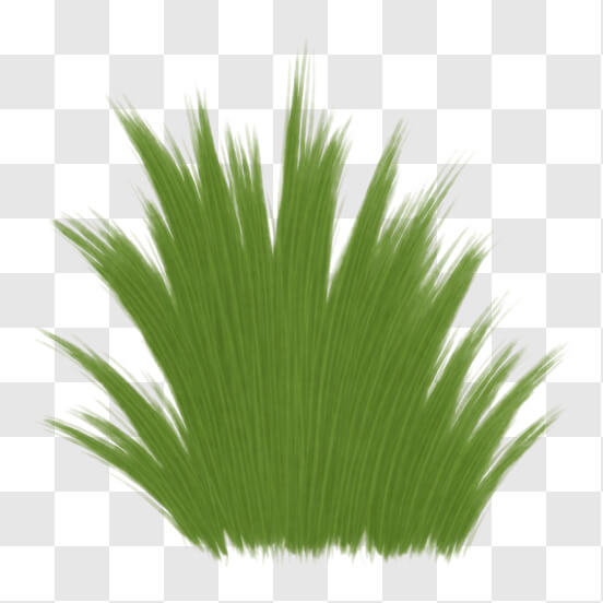 Grass Texture PNG - Download Free & Premium Transparent Grass Texture ...