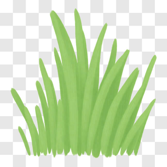 Download Green Grass Clip Art Pngs Online Creative Fabrica