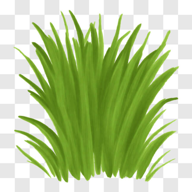 Download Green Grass Clip Art for Educational Use PNGs Online ...