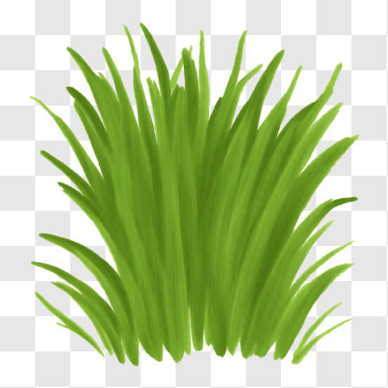 Grass Texture PNG - Download Free & Premium Transparent Grass Texture ...