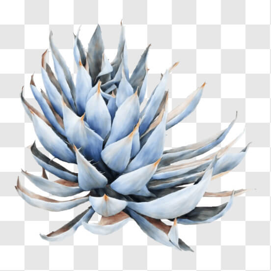 Blue Agave Plant PNG - Download Free & Premium Transparent Blue Agave ...