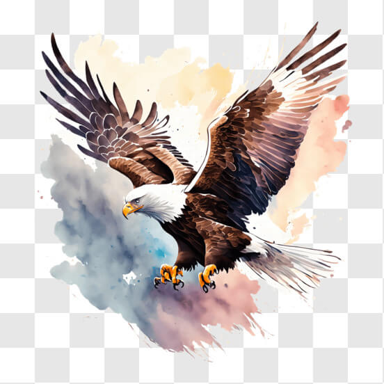 Download Eagle in Flight Watercolor Painting PNGs Online - Creative Fabrica