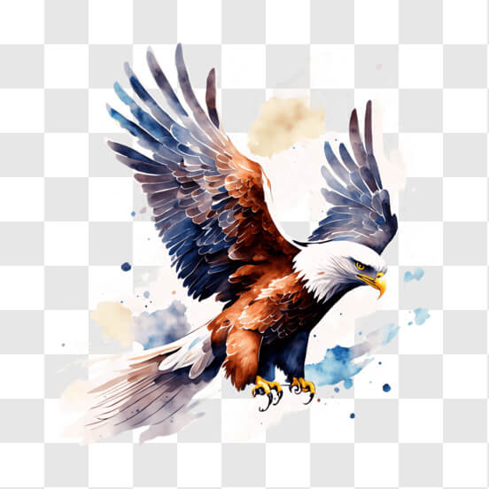 Download Eagle in Flight Watercolor Painting PNGs Online - Creative Fabrica