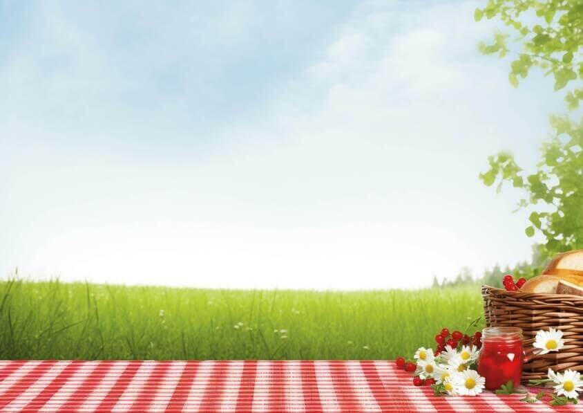 Download Picnic Basket with Bread and Flowers on Checkered Tablecloth ...