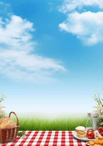 Download Outdoor Picnic with Sandwiches and Flowers Backgrounds Online ...