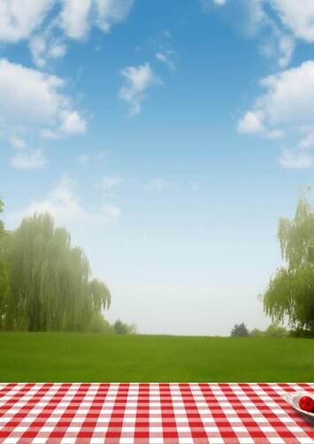 Download Scenic Picnic Table Setting in Open Field Backgrounds Online ...