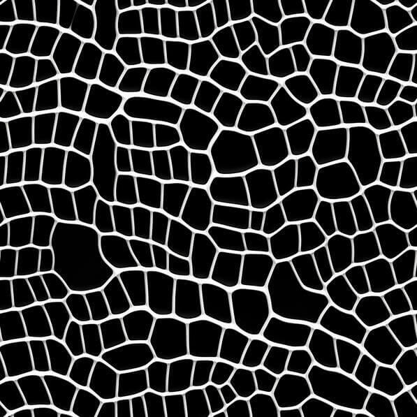 Download Seamless Black and White Crocodile Scale Pattern Background ...