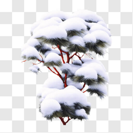 Snow Covered Bush PNG - Download Free & Premium Transparent Snow ...