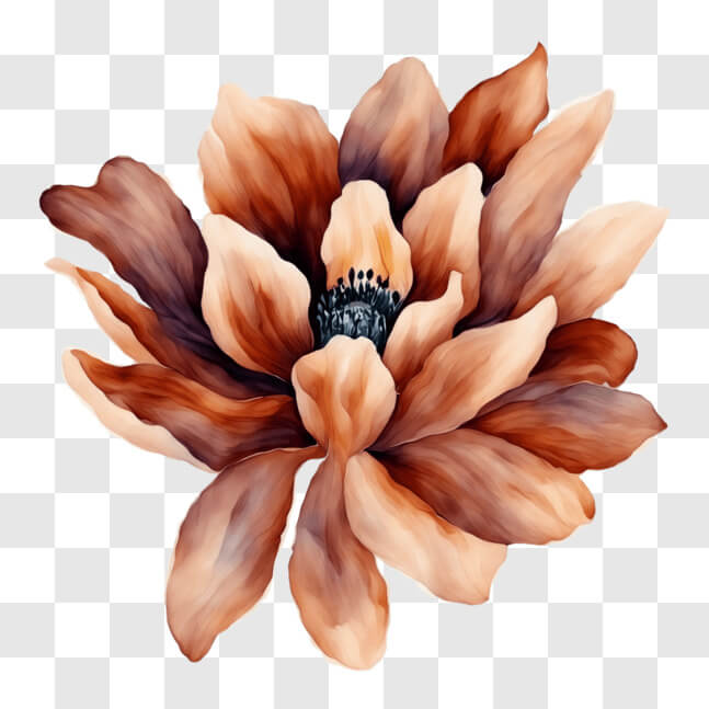 Brown Flower PNG - Download Free & Premium Transparent Brown Flower PNG ...