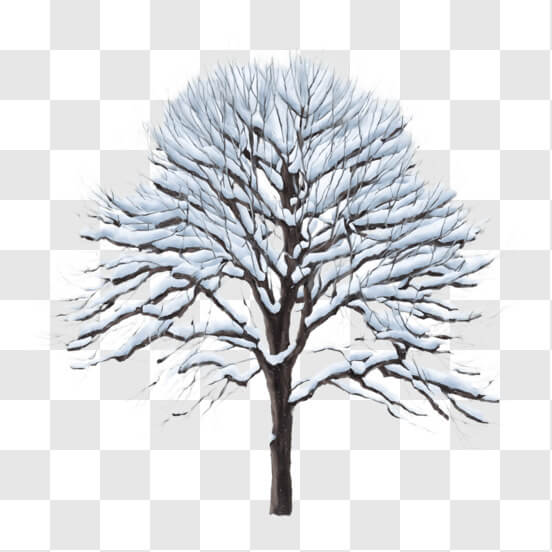 Snowy Tree PNG - Download Free & Premium Transparent Snowy Tree PNG ...