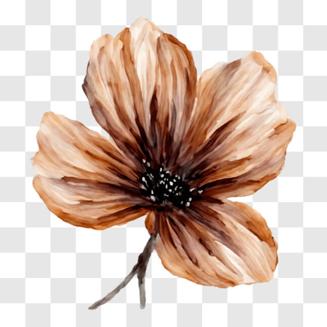 Download Single Brown Watercolor Painted Flower PNGs Online - Creative ...