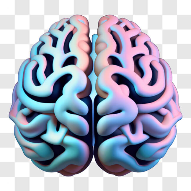 Download Colorful 3D Model of the Human Brain PNGs Online - Creative ...