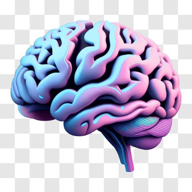 Download Levendig 3D Model van Menselijk Brein PNGs online op Creative ...