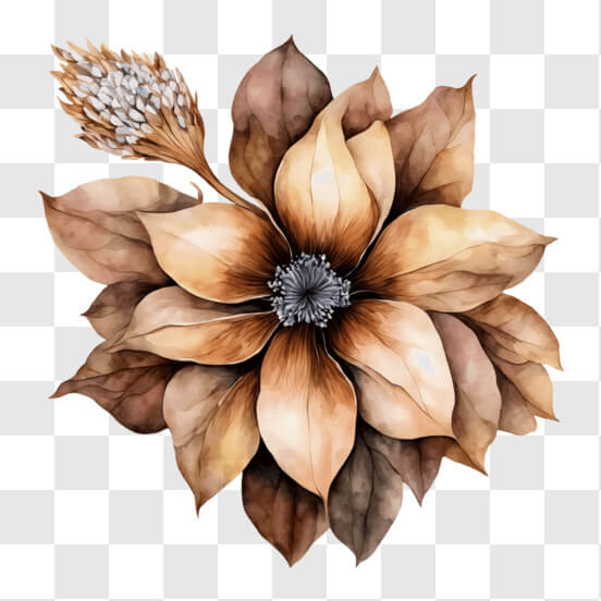 Download Brown Flower Artistic Painting on Black Background PNGs Online ...