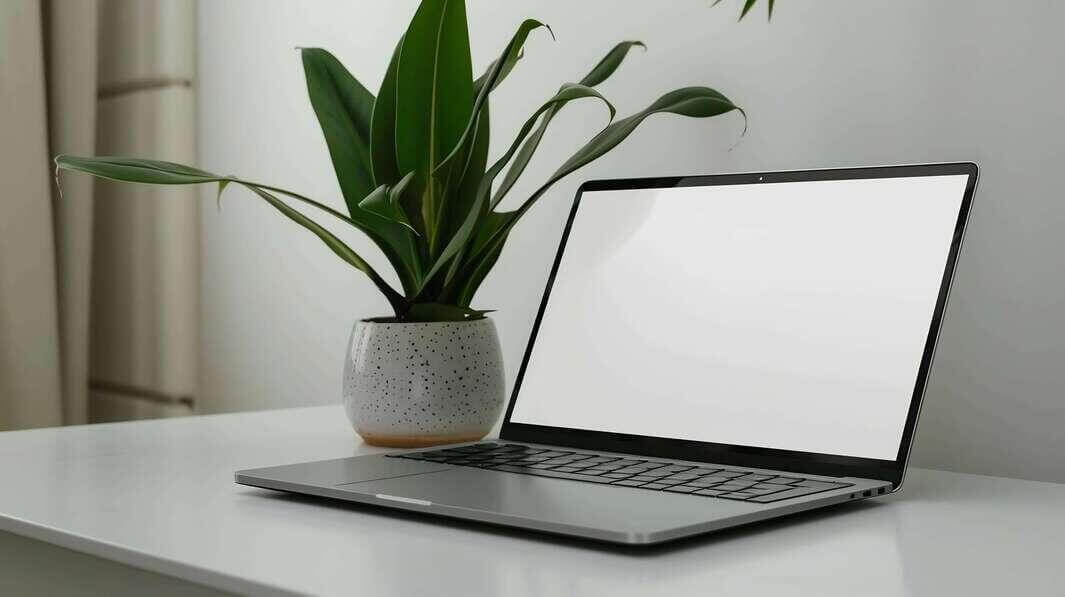 Descarga Computadora portátil en el escritorio con plantas verdes ...