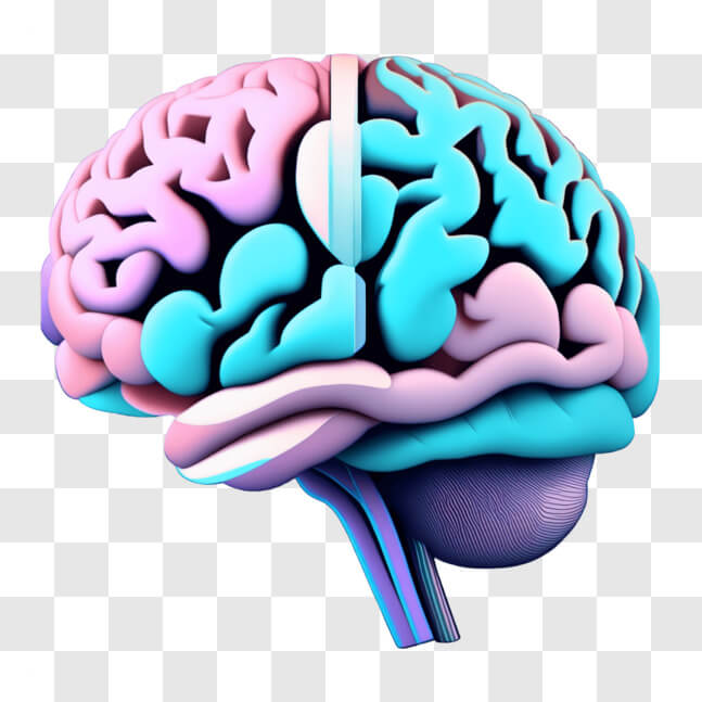 Download Colorful 3D Representation of Human Brain PNGs Online ...