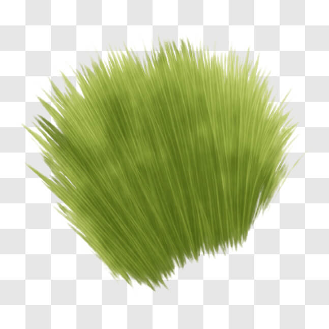 Download Green Grass for Landscaping and Gardening PNGs Online ...