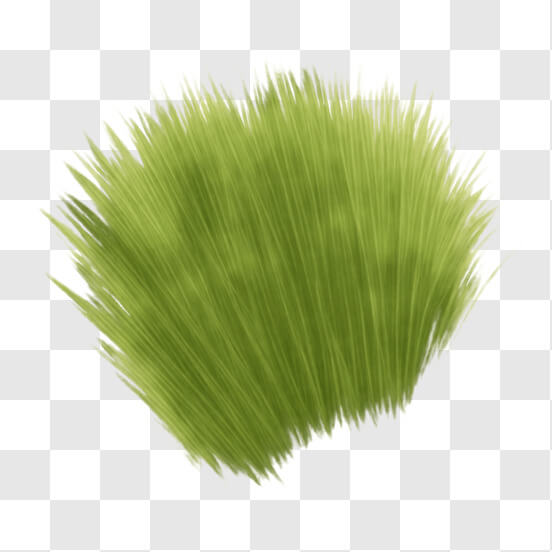 Grass Texture PNG - Download Free & Premium Transparent Grass Texture ...