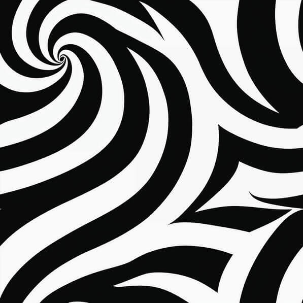 Download Black and White Zebra Pattern with Swirls Background Patterns ...