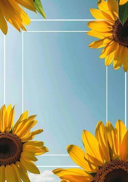 Sunflower Backgrounds - Download Free & Premium Transparent Sunflower ...