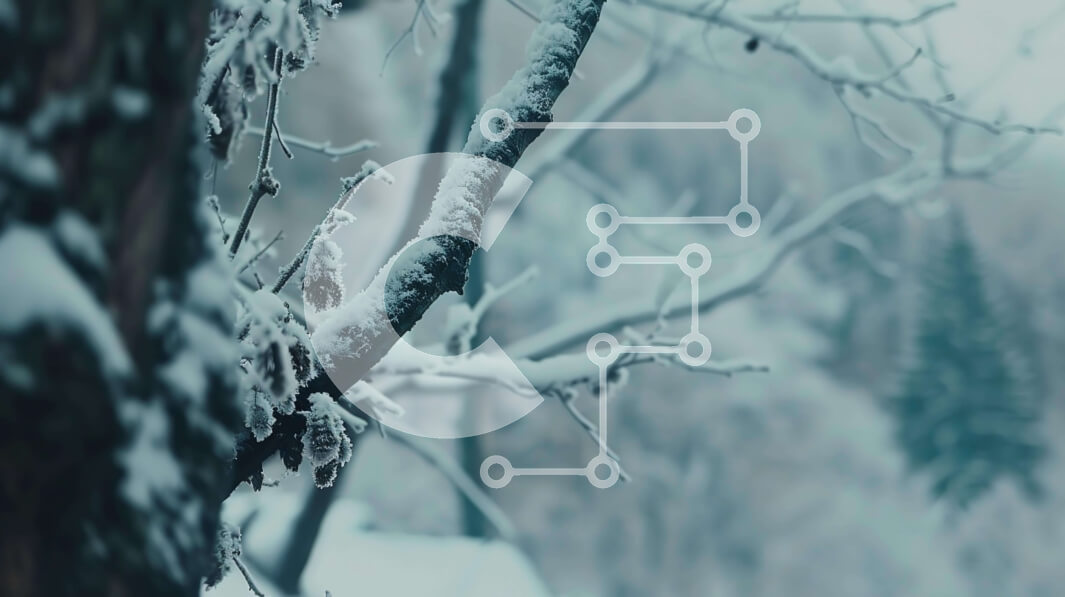 Download Snow-Covered Tree Branch in Winter Forest Stockphotos Online ...