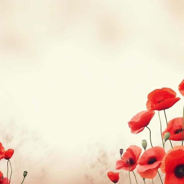 Download Red Poppy Abstract Background for Remembrance and Celebration ...