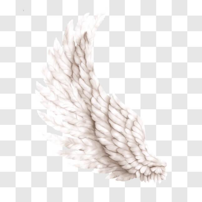 Download White Angel Wing Flying in the Air PNGs Online - Creative Fabrica