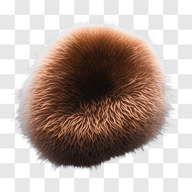 Download Round Brown Furry Object on Black Background PNGs Online ...