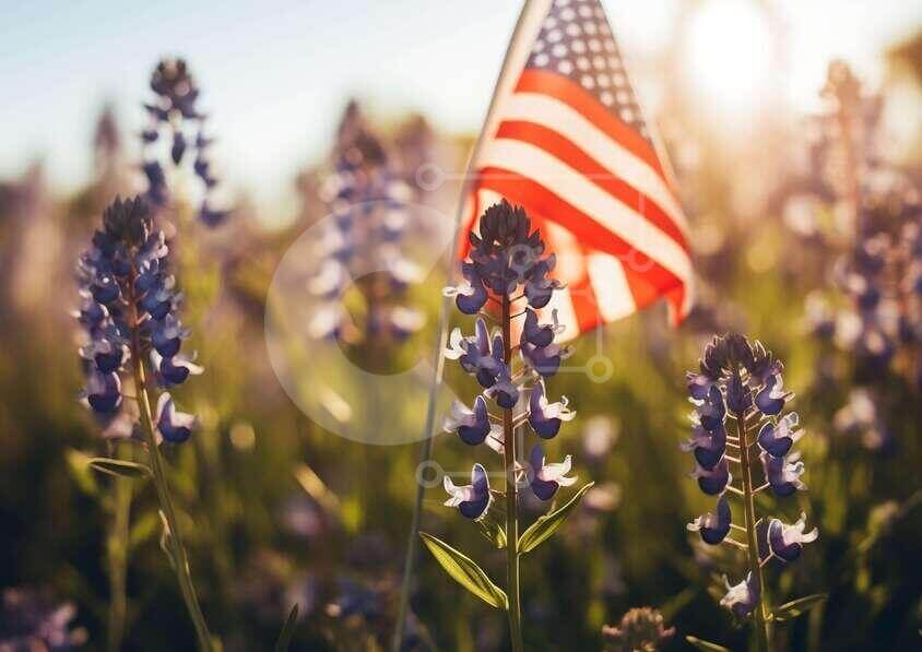 Patriotic American Flag in Field of Purple Flowers stock photo ...