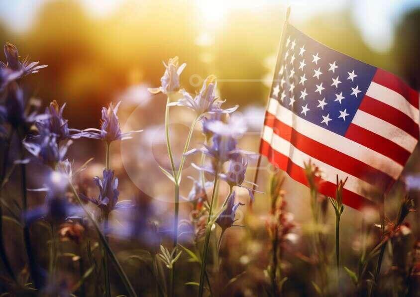 Patriotic American Flag in Field of Wildflowers stock photo | Creative ...