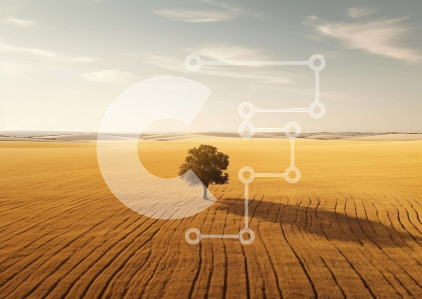 Download Lone Tree in Empty Yellow Field Stockphotos Online - Creative ...