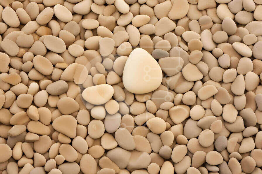 Isolated White Pebble in a Field of Beige Rocks stock photo | Creative ...