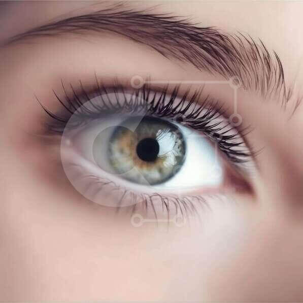 Close-up of Woman's Eye with Long Green Lashes stock photo | Creative ...