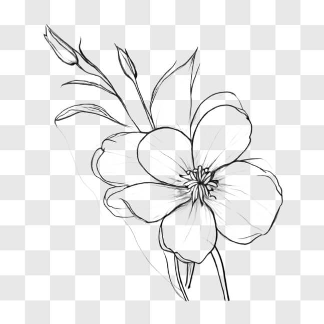 Baixe Esboço simples de flor preta e branca desenhada à mão com hastes ...