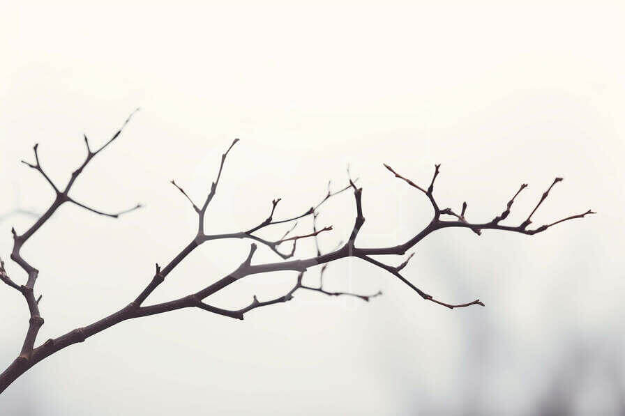 Bare Tree Branch with Flying Bird stock photo | Creative Fabrica