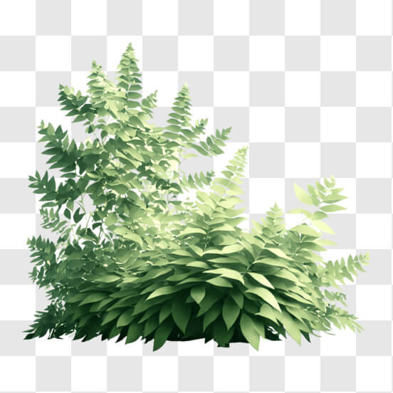 Bush PNG - Download Free & Premium Transparent Bush PNG Images Online ...