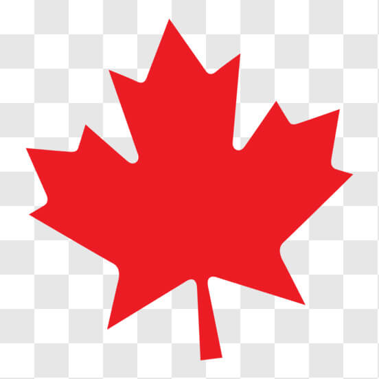 Canada Leaf PNG - Download Free & Premium Transparent Canada Leaf PNG ...
