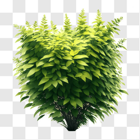 Bush PNG - Download Free & Premium Transparent Bush PNG Images Online ...
