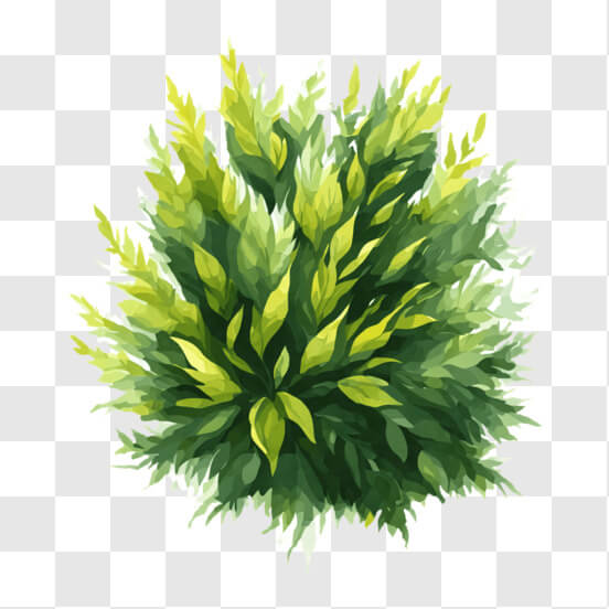 Bush PNG - Download Free & Premium Transparent Bush PNG Images Online ...