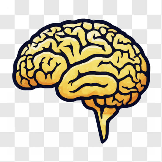 Download Colorful Cartoon Brain Educational Tool Cartoons Online ...
